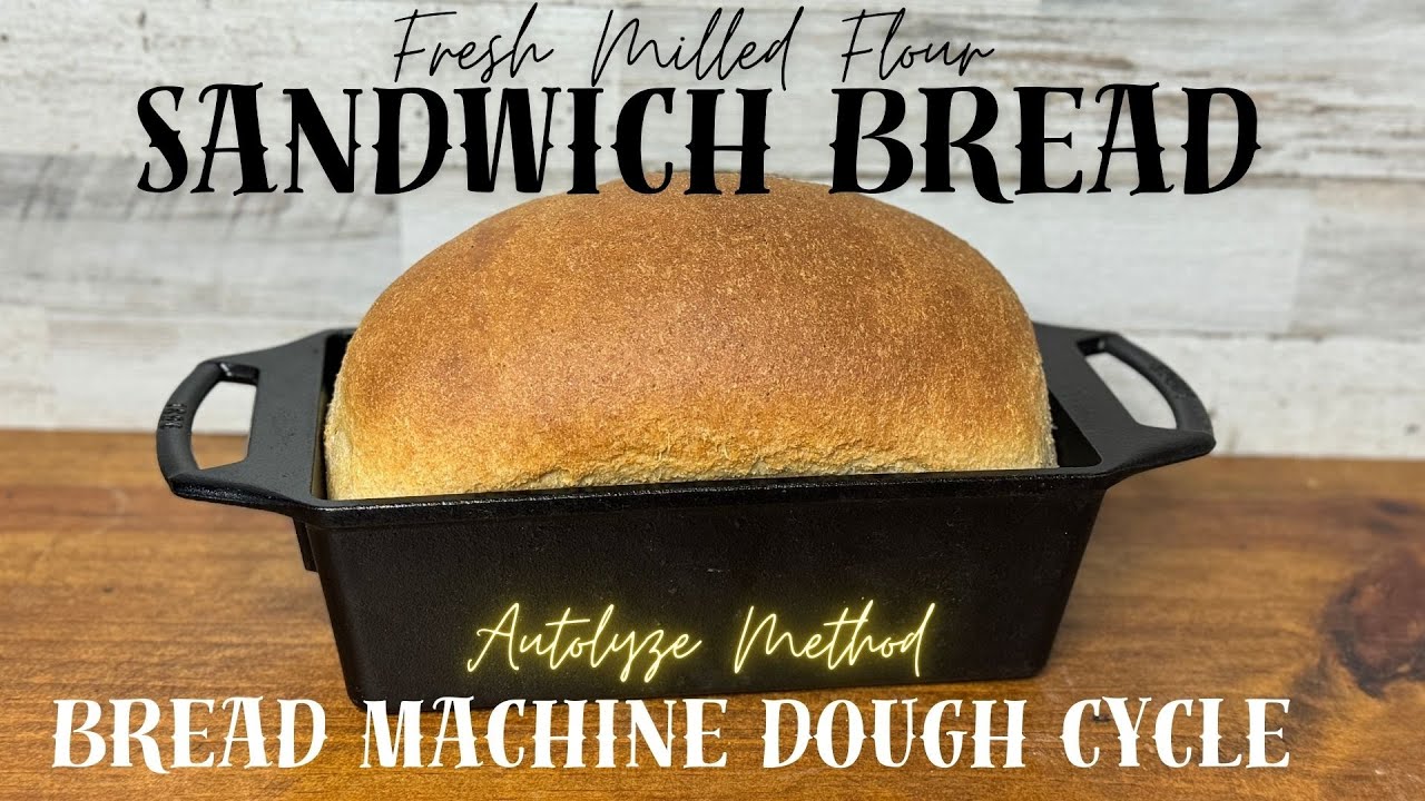Bread Machine Dough Cycle Fresh Milled Flour Soft Fluffy Sandwich Bread Recipe Honey Wheat Freshly