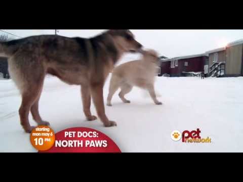NORTH PAWS: Premieres May 6 on The Pet Network