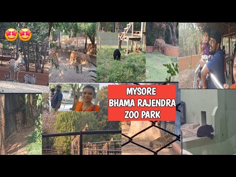 🤣🤣Mysore Zoo Park||Best tourist places in mysore||Oldest zoo in mysore||Entertainment vlog