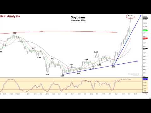 November Soybean Chart | Heartland Farm Partners