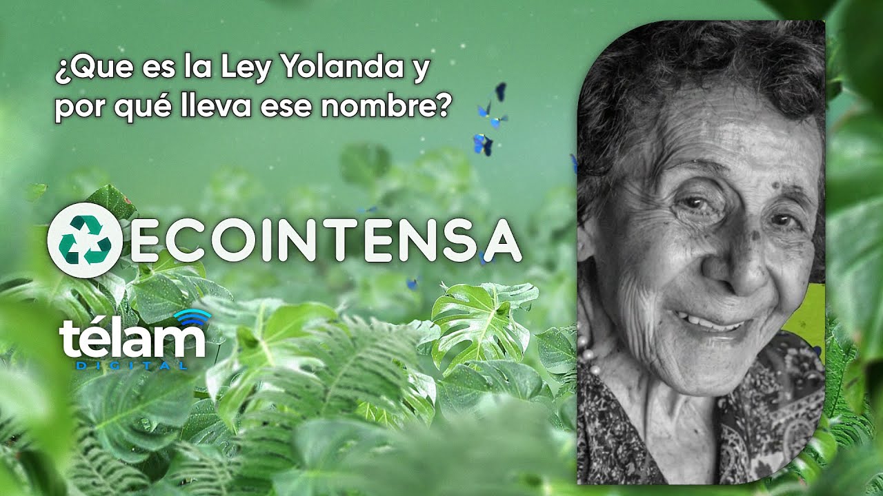 What is the Yolanda Law and why is it called that? - Ecointensa
