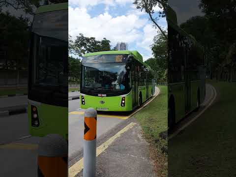 [SBS] SG3065G on 162 arriving Opp Blk 203 (53391)
