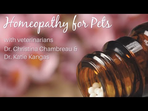 Homeopathy for Pets with Dr. Christina Chambreau + Dr. Katie Kangas