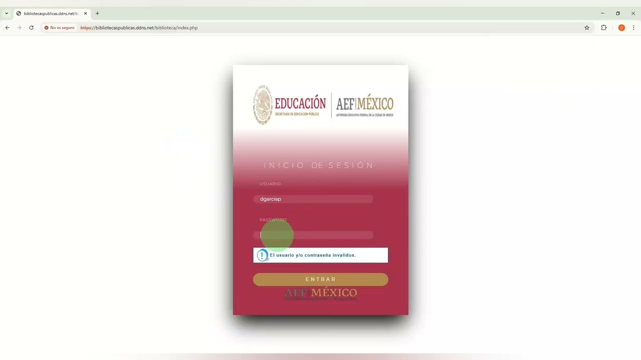 Portal de estadística y credencialización de las Bibliotecas Públicas de la AEFCM