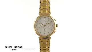 Tommy Hilfiger 1782344 - Zegarek Ivy • Zegarownia.pl
