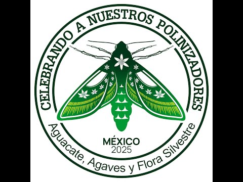 CELEBRANDO A NUESTROS POLINIZADORES – CNP – 2025 "Aguacate, Agaves y flora Silvestre"