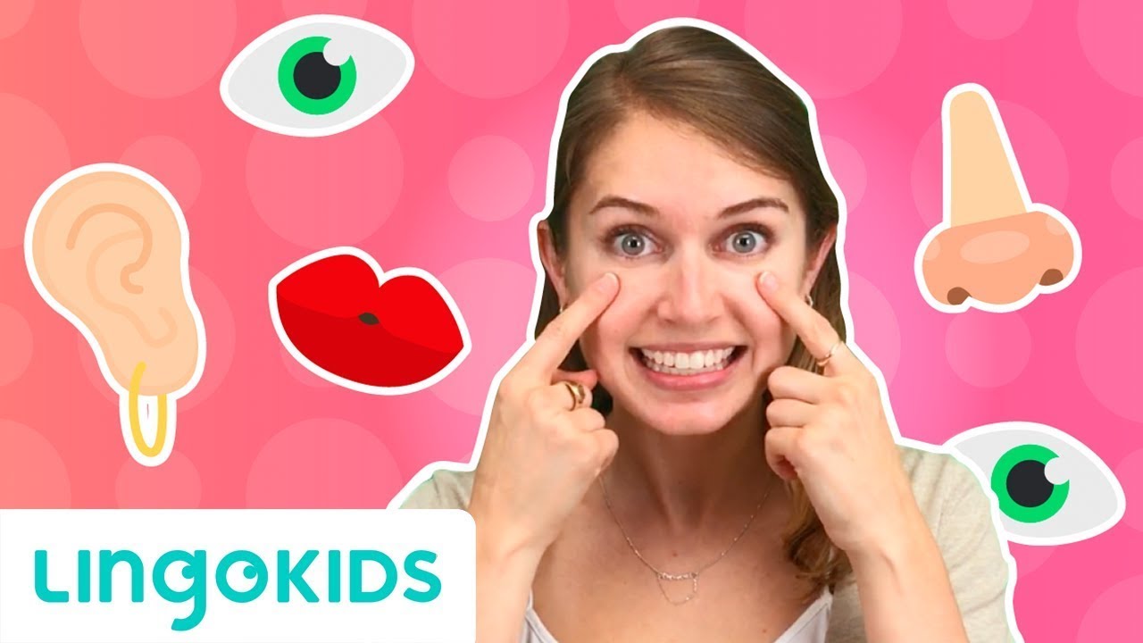 ¡Aprende las partes de la cara en inglés con Lingokids!