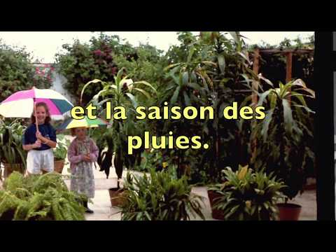 The Weather in French (no English)