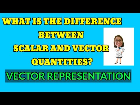 WHAT IS THE DIFFERENCE BETWEEN SCALAR AND VECTOR QUANTITIES?