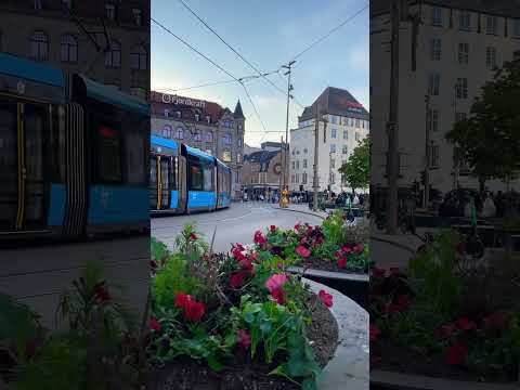 Guess European city #europe #travel