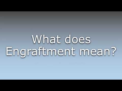 What does Engraftment mean?
