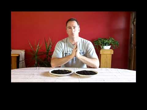 What Is Biochar?