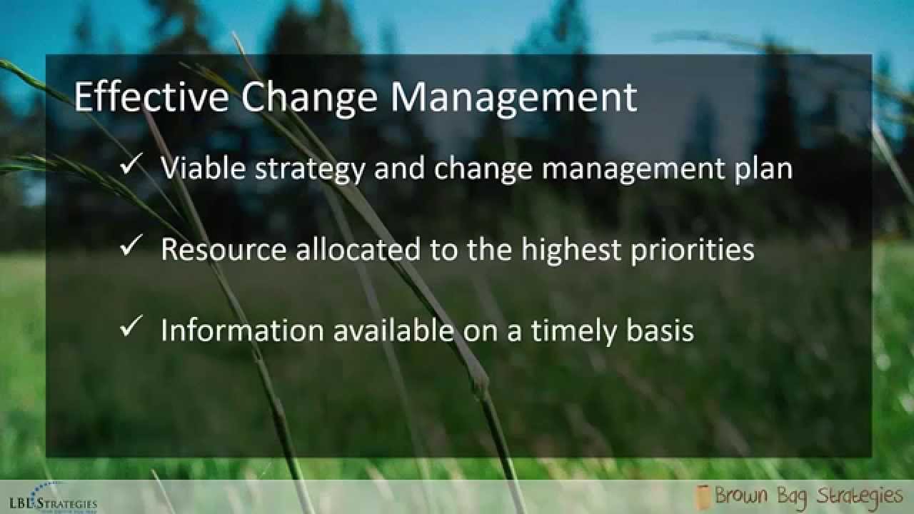 4 Critical Elements of Leading Effective Change in Your Organization
