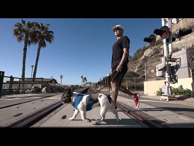 How old is Ryan Sheckler? Former MTV star gets married to Abigail Baloun