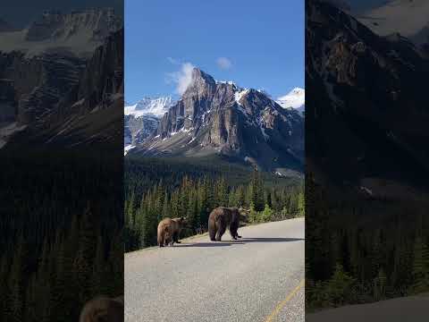 Banff National Park | Canada
