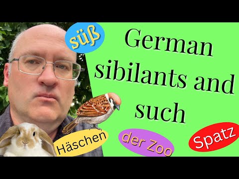 How to pronounce the letters s, ß, z, ss, and sch in German words?