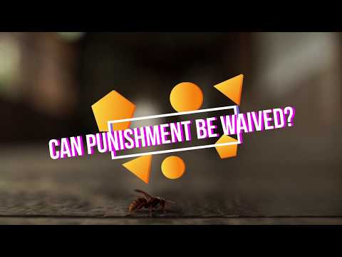 6. What happens to the perpetrators?