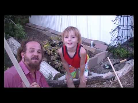 Differences Between Annual, Biannual, and Perennial