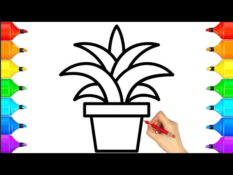 HOW TO DRAW SPIDER PLANT DRAWING FOR EASY STEP BY STEP