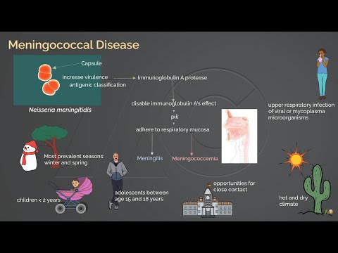 Meningococcal Infection