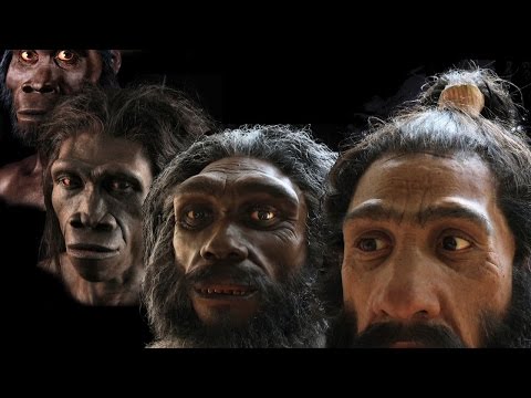 Molding an identity for dinosaurs and early humans from the study of fossils