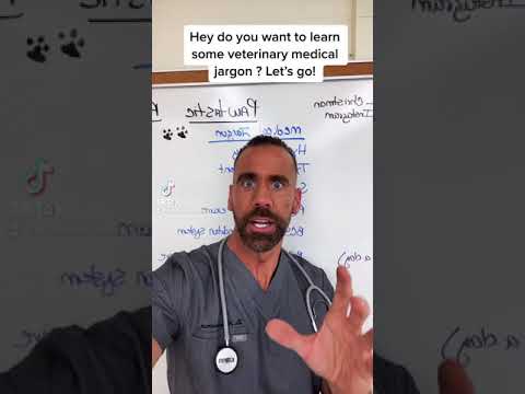 Veterinary Medical Abbreviations!