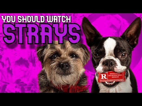 You Should Watch - Strays 2023