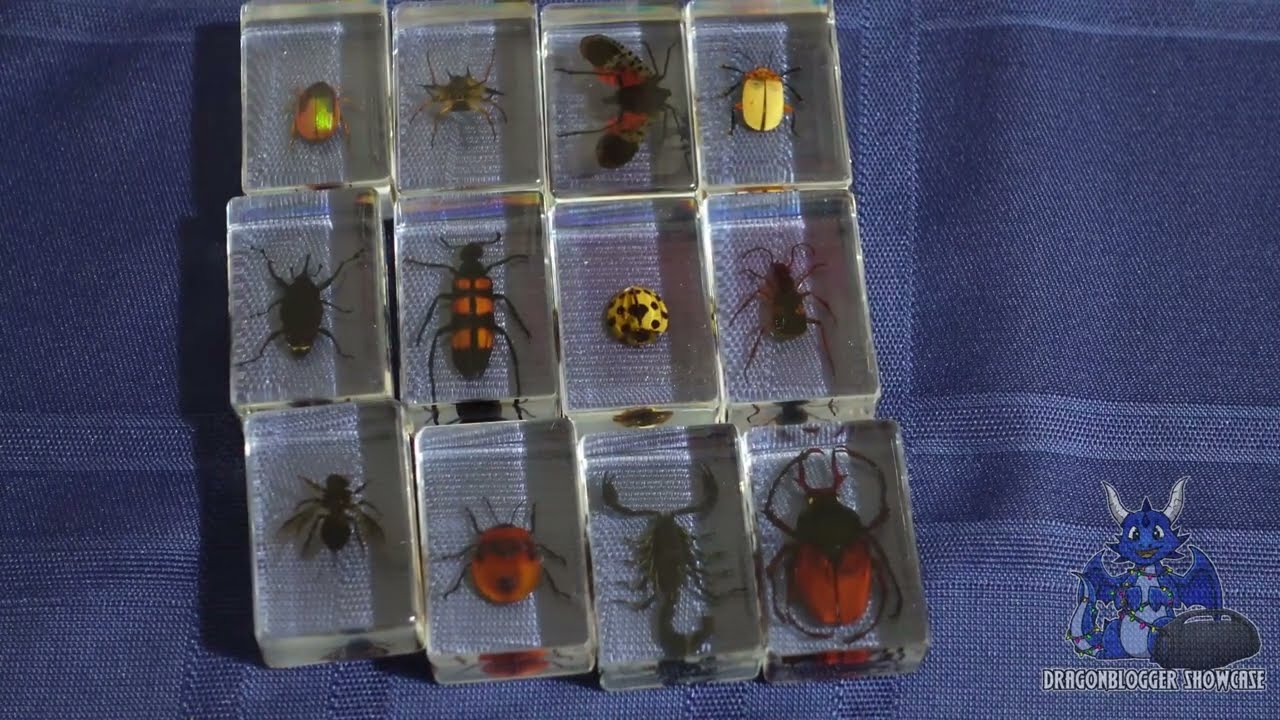 Got Bugs! Macarrie 12 Pcs Insect in Resin Specimen Bugs Collection Paperweight