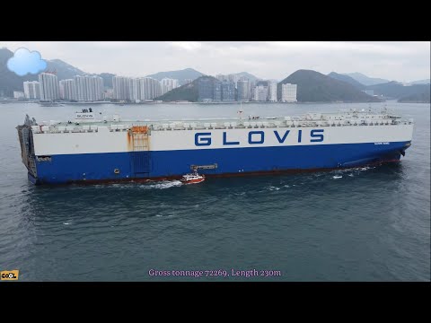 GLOVIS SONIC - Cargo (IMO: 9798387, MMSI: 538007414)