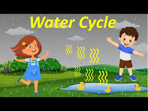 water cycle |#waterlifecycle |#evaporation |#condensation |#precipitation |#collection |#etoddlers