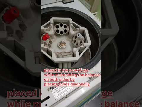 Balance is maintain during centrifuge #centrifuge #blood#practical #dmlt