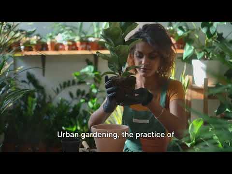 Thriving in the Concrete Jungle: Urban Gardening Benefits 🌆🌿 | #UrbanGardening #EcoLiving