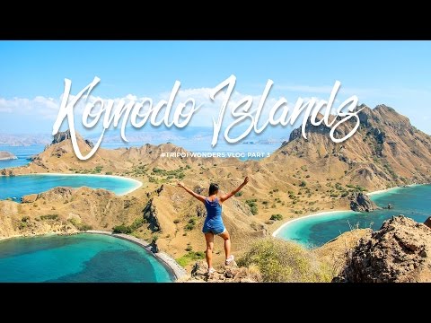 Up Close with Komodo Dragons! | Indonesia (Part 4)