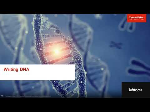 Fast and Reliable Gene Synthesis for Optimized Protein Expression