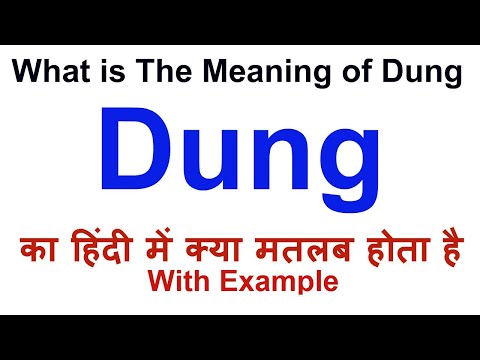 Dung Meaning in Hindi | Dung Definition | Dung Ka Matlab Kya Hota Hai | Dung in Hindi