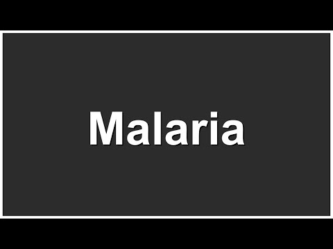How to Pronounce Malaria – Say it Correctly!
