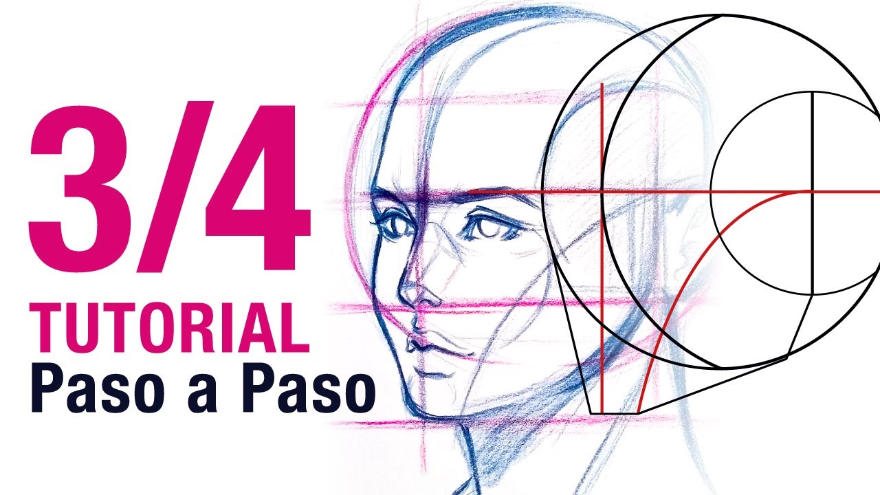 How to Draw a Three-Quarter 3/4 Face Step by Step