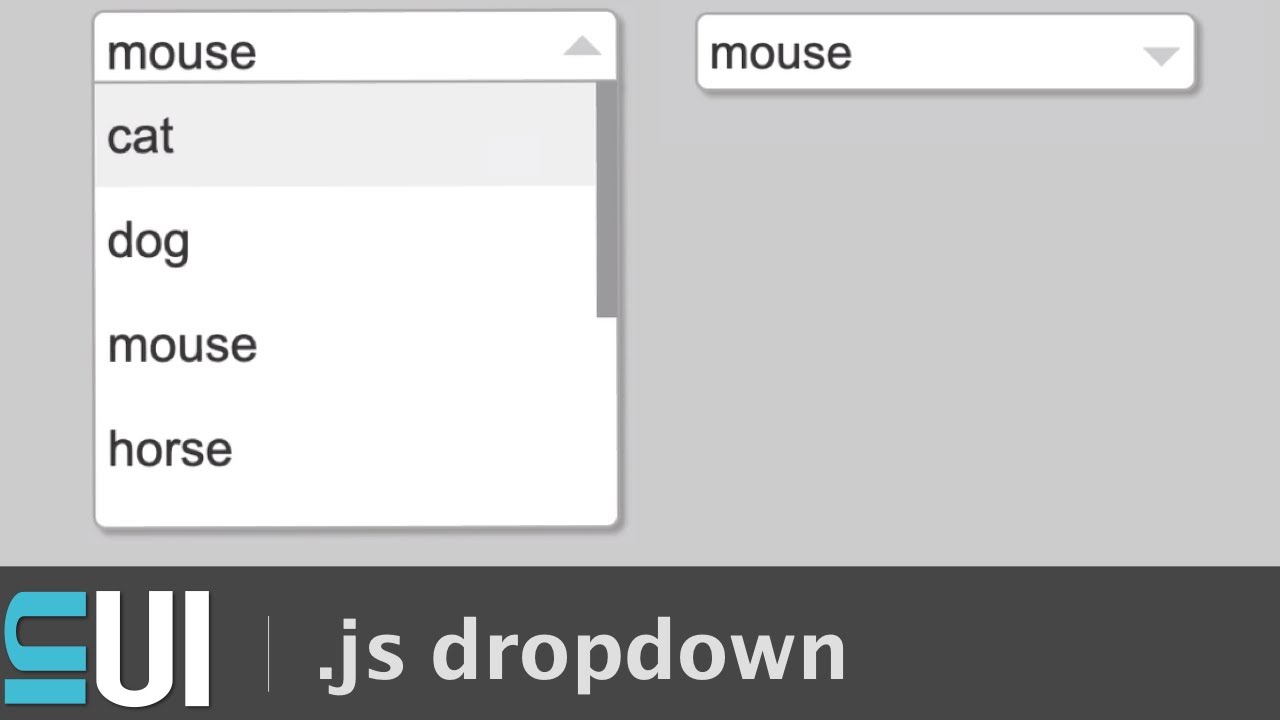 Let's Create a Dropdown in Vanilla JavaScript!