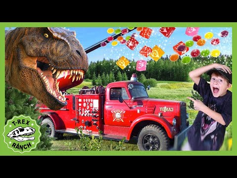 Giant Surprise Maze Game With Dinosaurs! T-Rex Ranch Dinosaur Videos