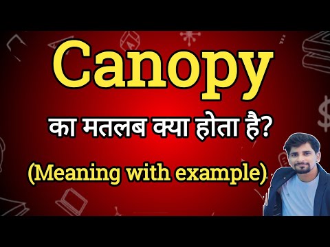 Canopy Meaning in Hindi | Canopy Ka Matlab kya Hota hai| English to Hindi dictionary