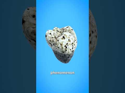Why Teeth Used To Explode 🤯