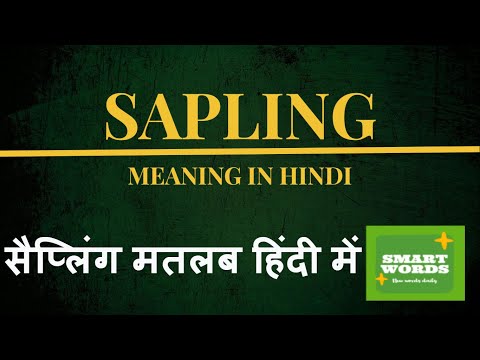 Sapling Meaning In Hindi | Sapling Ka Matlab Kya Hota Hai | Sapling Definition in Hindi
