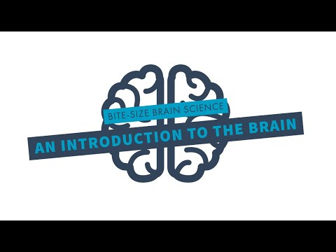Discover your complex brain