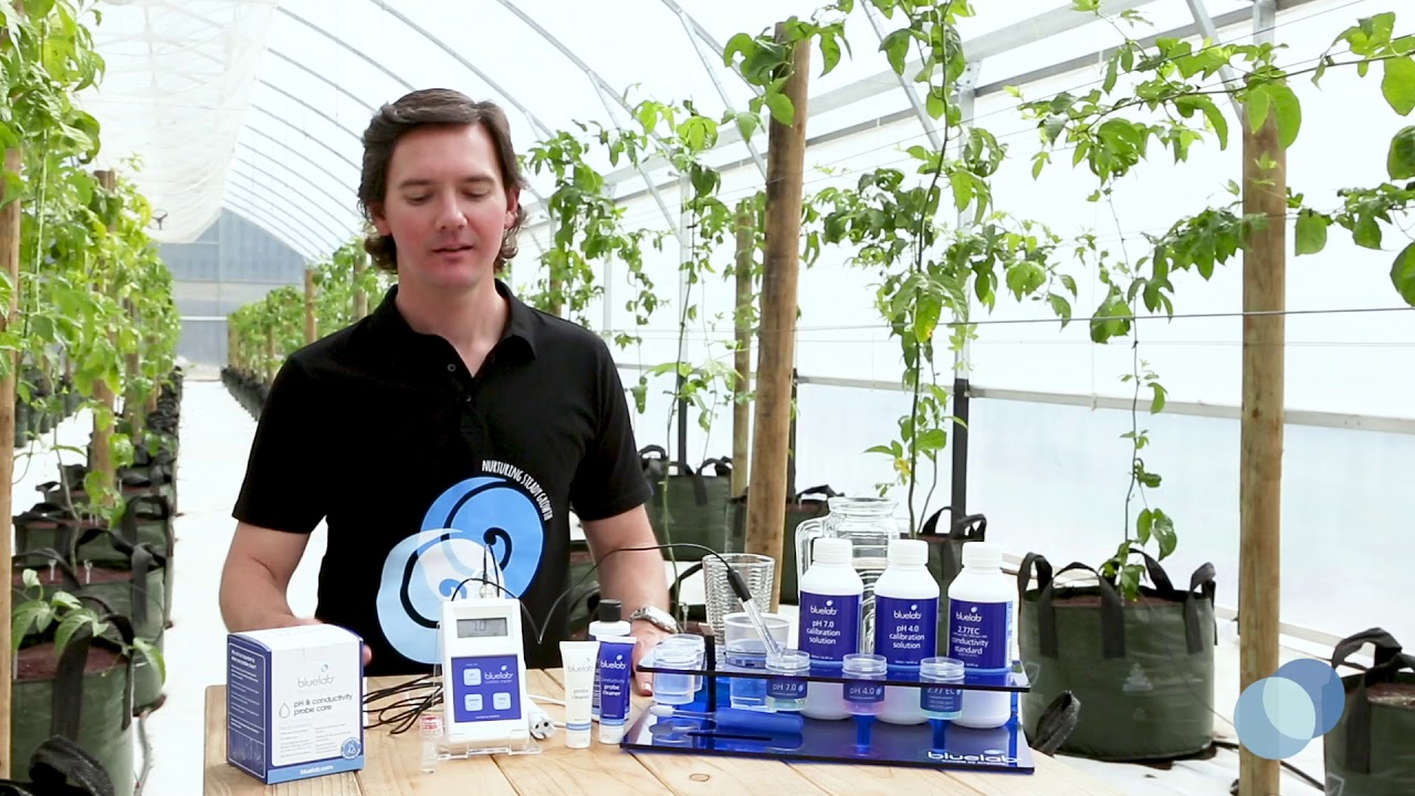 Bluelab Combo Meter Calibration and Cleaning Video