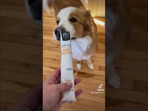 What is Sunny’s fave pick from this #barkbox?