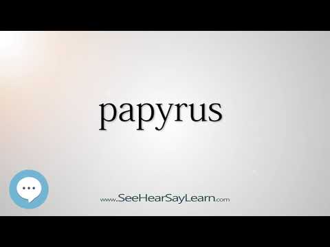 papyrus 5,000 SAT Test Words and Definitions Series 🔊
