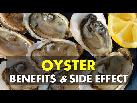 Oyster Benefits and Side Effects | Benefits of Eating Oyster
