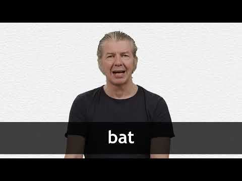 BAT - Definition & Translations | Collins English Dictionary