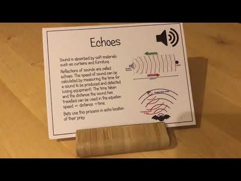 KS3 Sound Echoes and Ultrasound