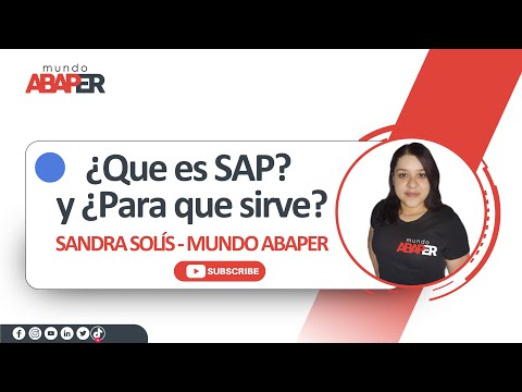 What is SAP and what is it for? - explained in less than 5 minutes